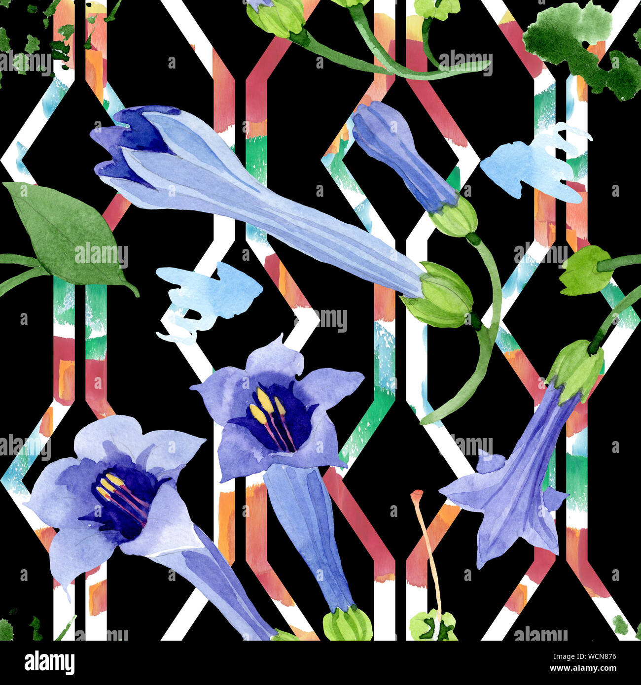 Blue brugmansia floral botanical flowers. Watercolor background ...