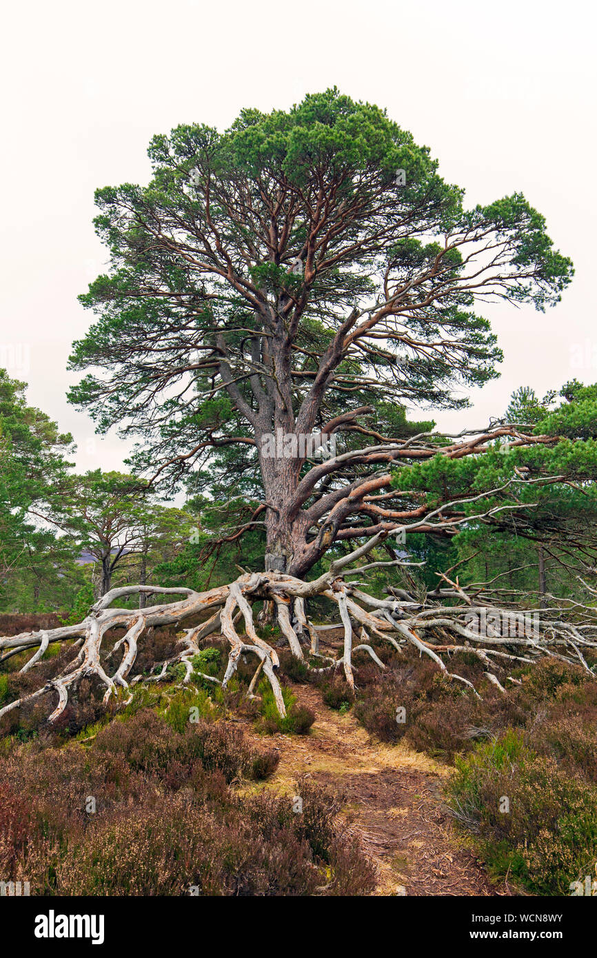 Old exposed hi-res stock photography and images - Alamy