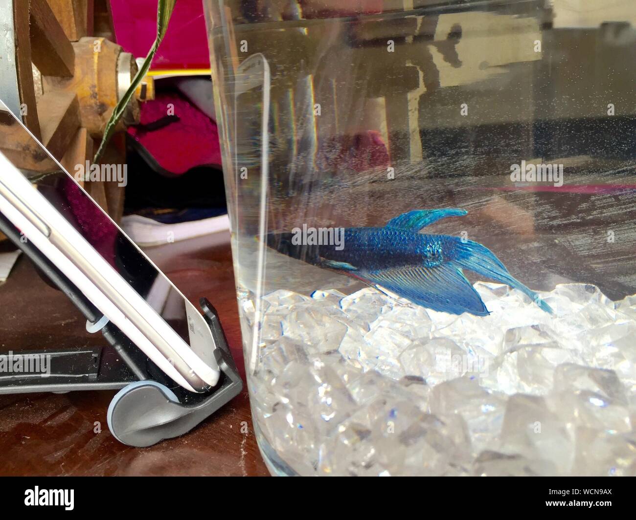 Smart glass hi-res stock photography and images - Alamy