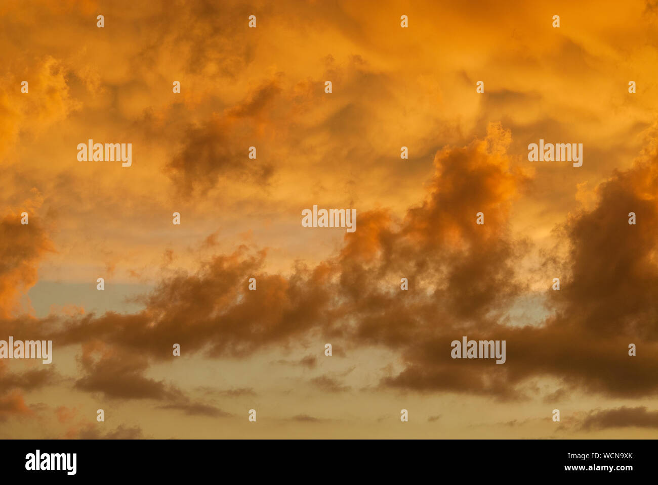 Strange and mysterious sunset sky with golden clouds as alien planet ...