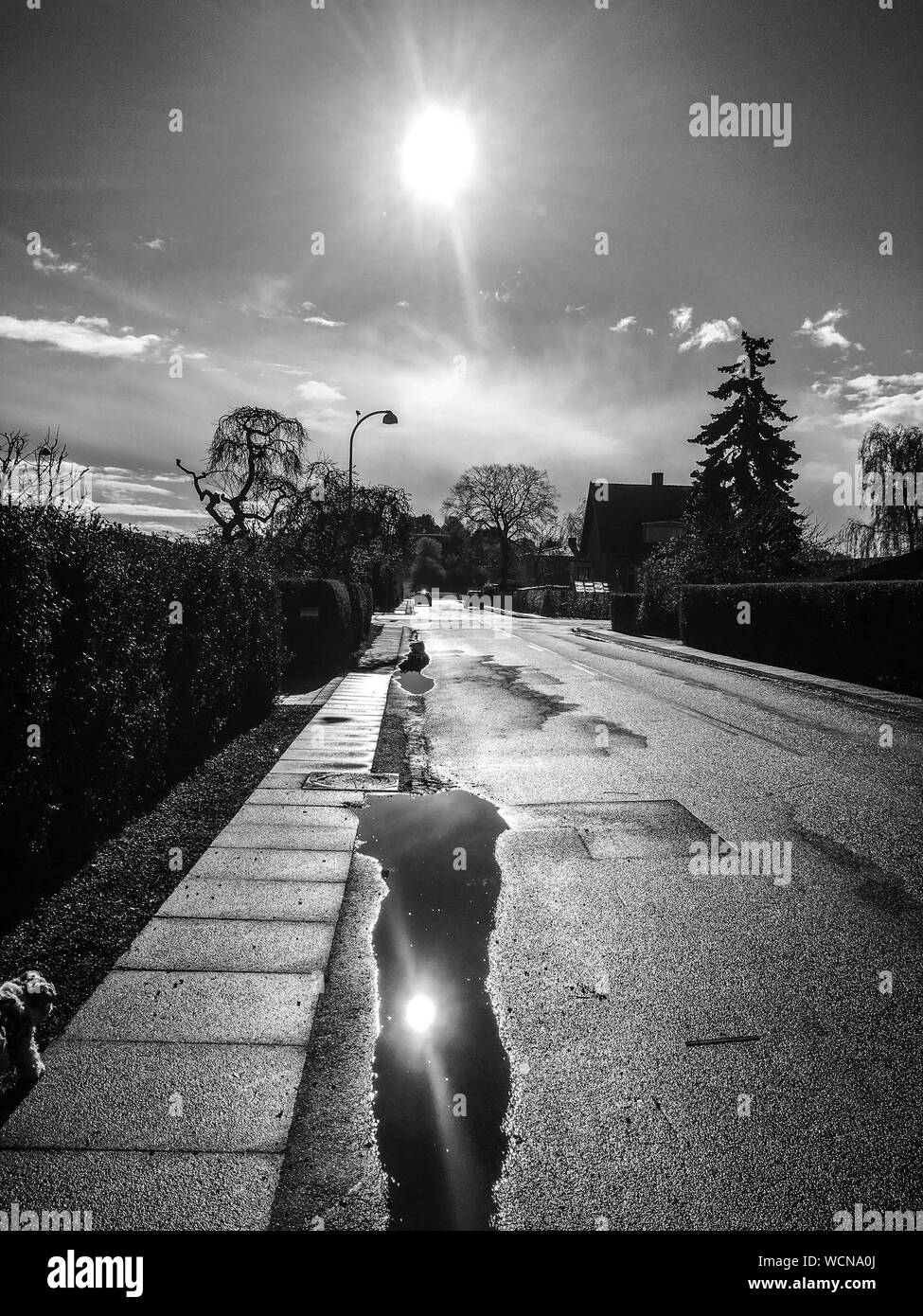 Sun reflection on cloud hi-res stock photography and images - Alamy