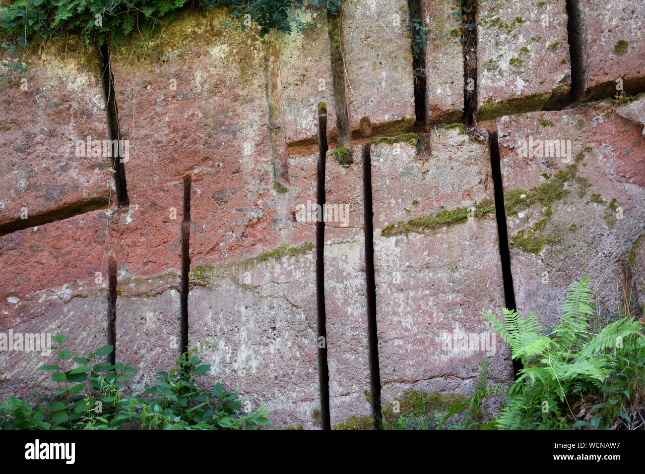Rugged Red Volcanic Tuff Rock Wall at the Michelnau Stone Pit, a ...