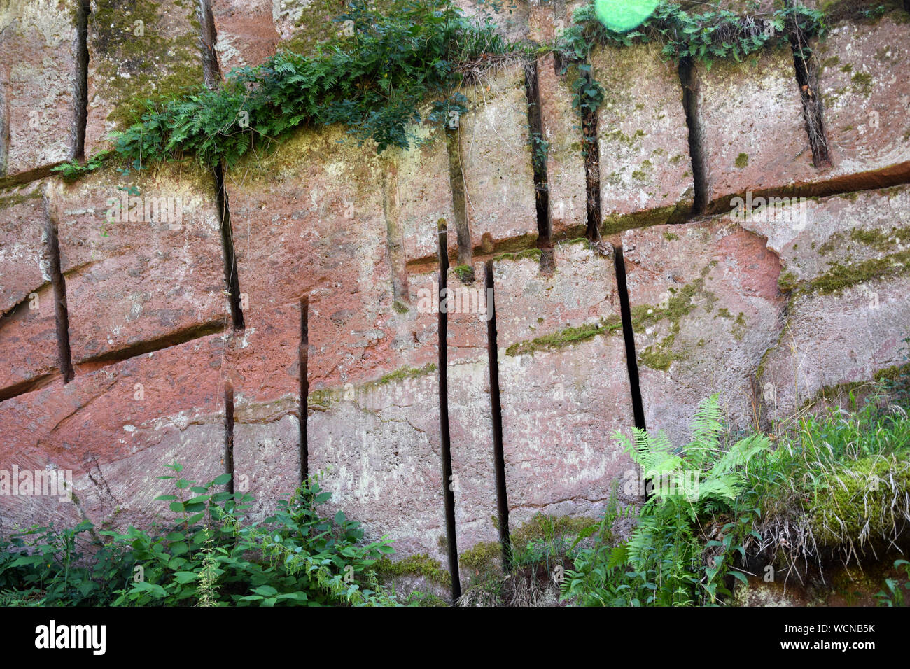Rugged Red Volcanic Tuff Rock Wall at the Michelnau Stone Pit, a ...