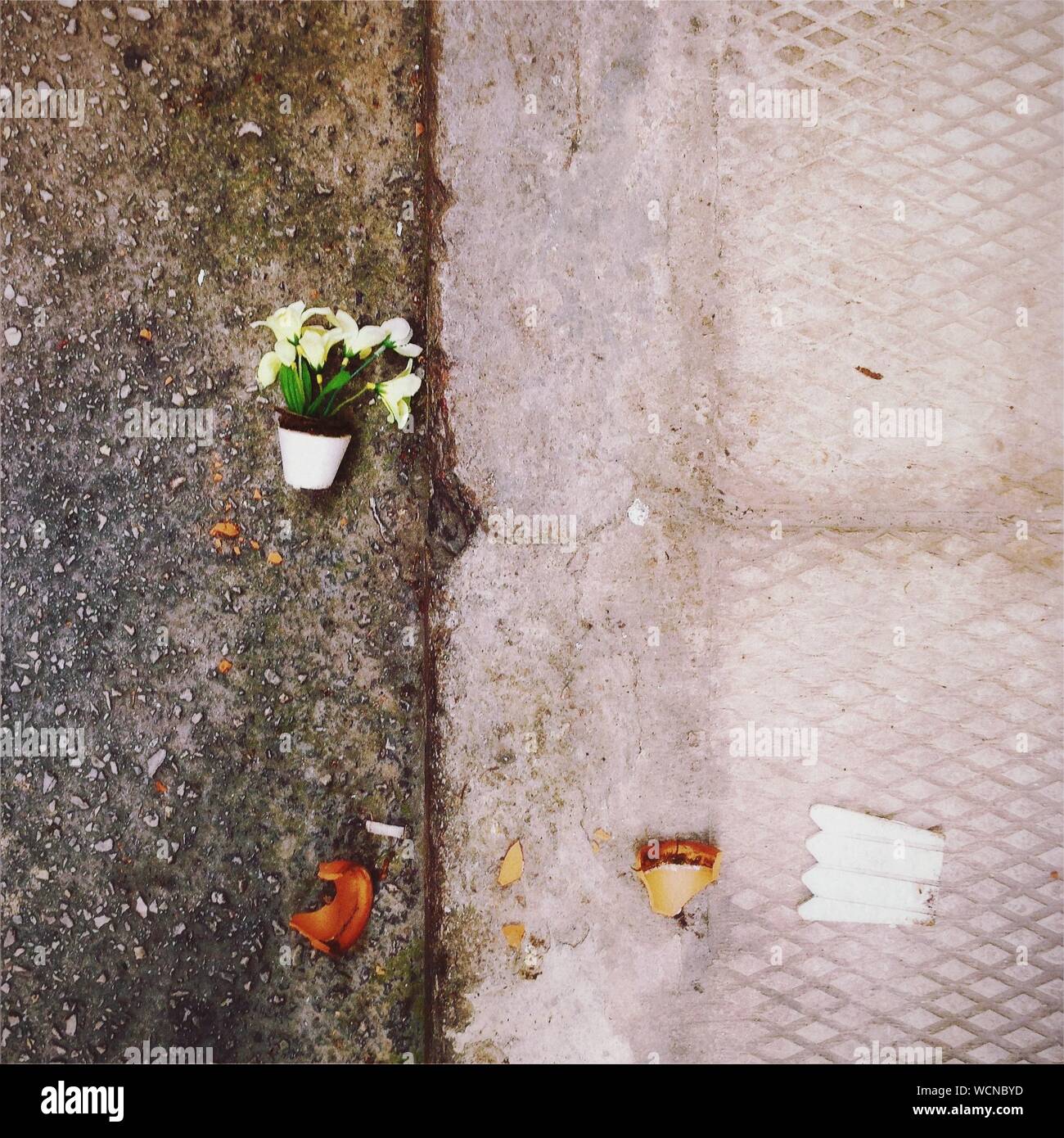 Pot Plant Fallen High Resolution Stock Photography and Images - Alamy