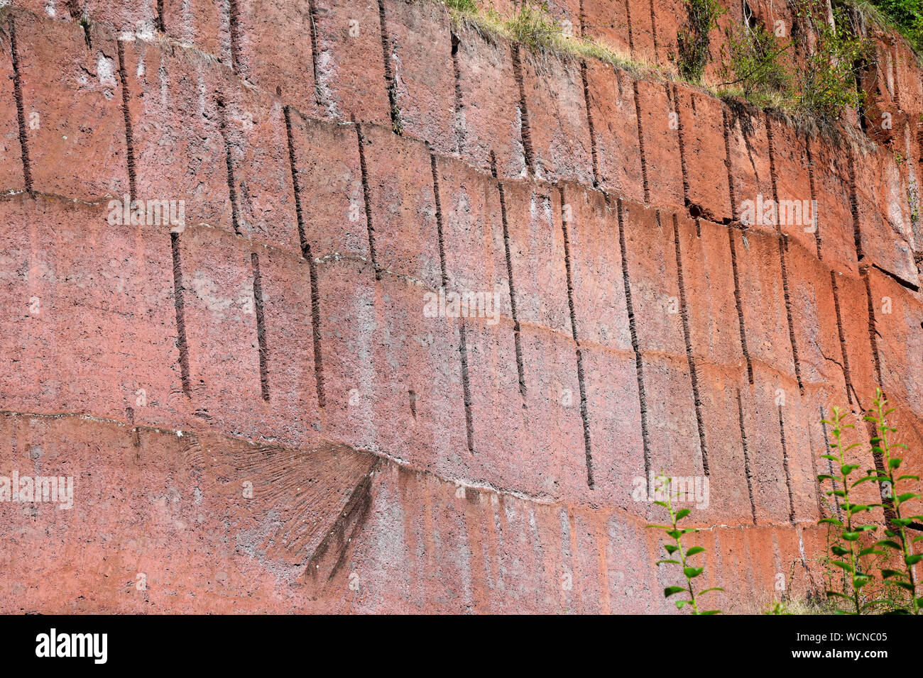 Rugged Red Volcanic Tuff Rock Wall at the Michelnau Stone Pit, a ...