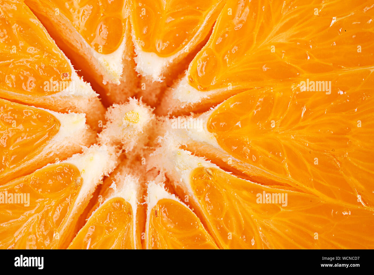 Orange cross section hi-res stock photography and images - Alamy