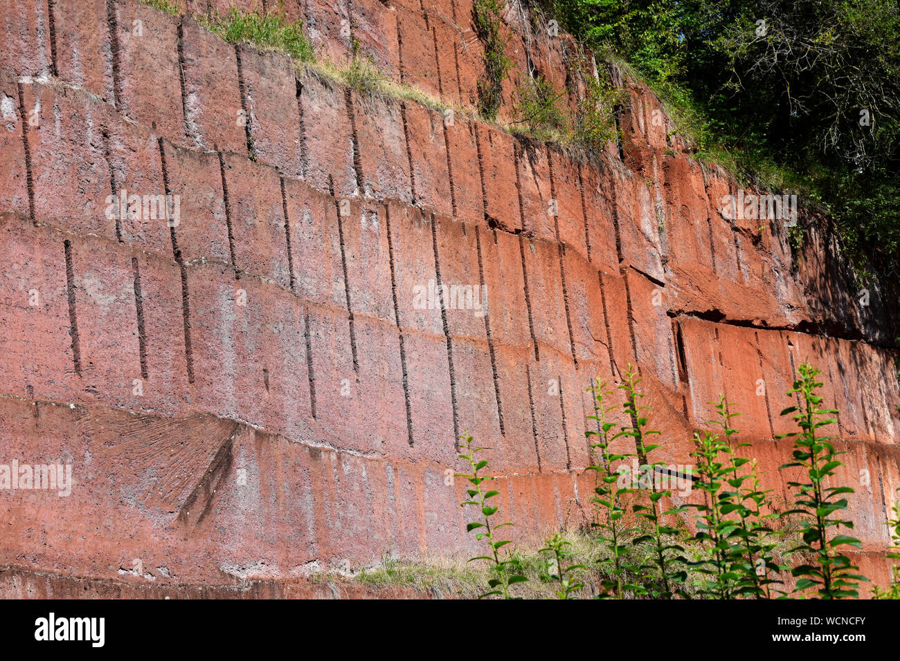 Rugged Red Volcanic Tuff Rock Wall at the Michelnau Stone Pit, a ...