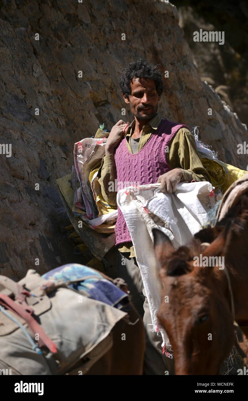 Man carrying donkey hi-res stock photography and images - Alamy
