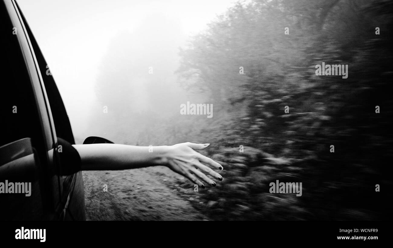 Hand waving Black and White Stock Photos & Images - Alamy