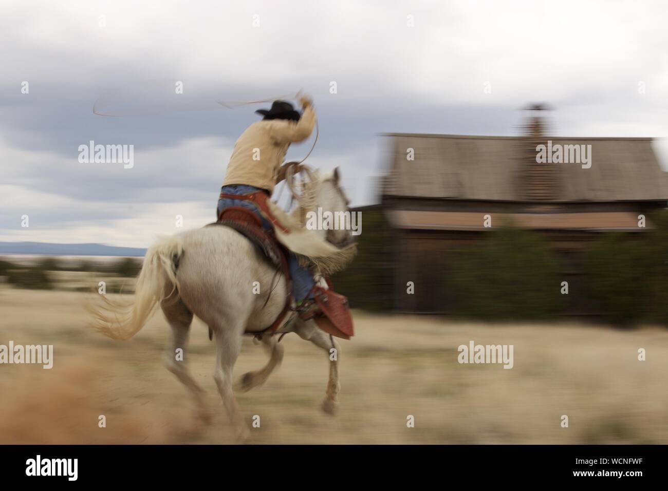 Working cowboy hi-res stock photography and images - Alamy
