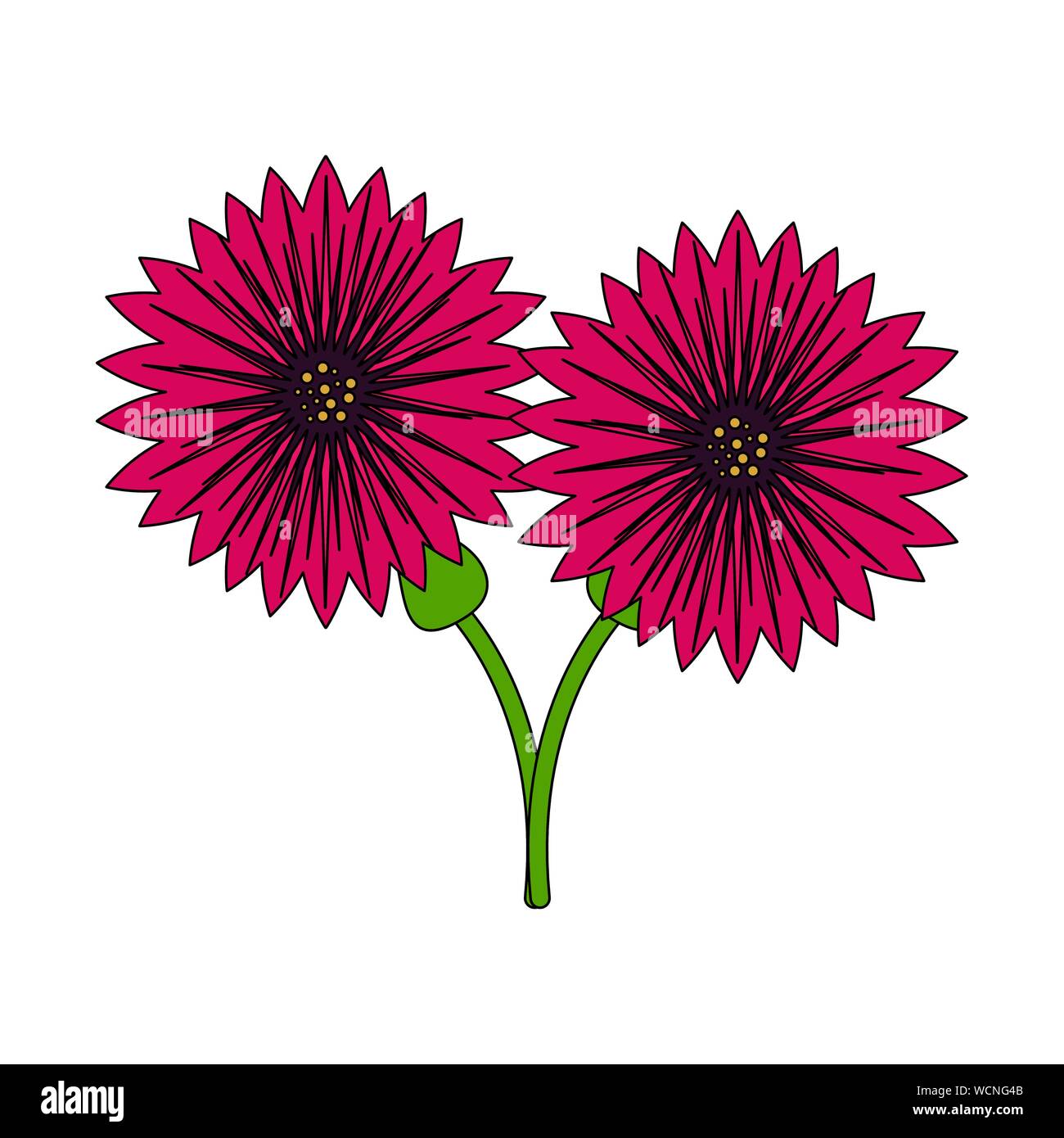 floral spring beautiful flowers cartoon Stock Vector Image & Art - Alamy