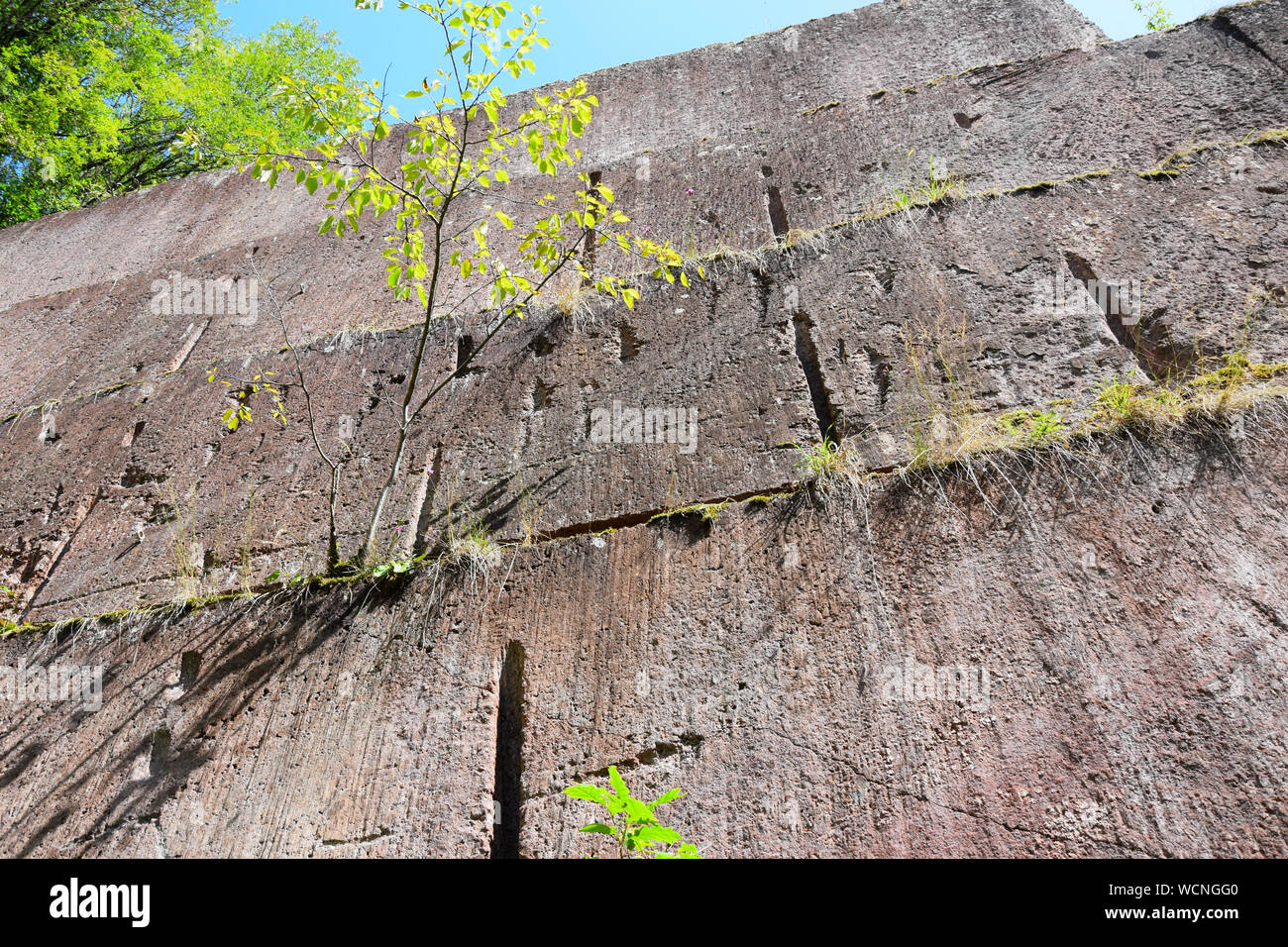 Rugged Red Volcanic Tuff Rock Wall at the Michelnau Stone Pit, a ...