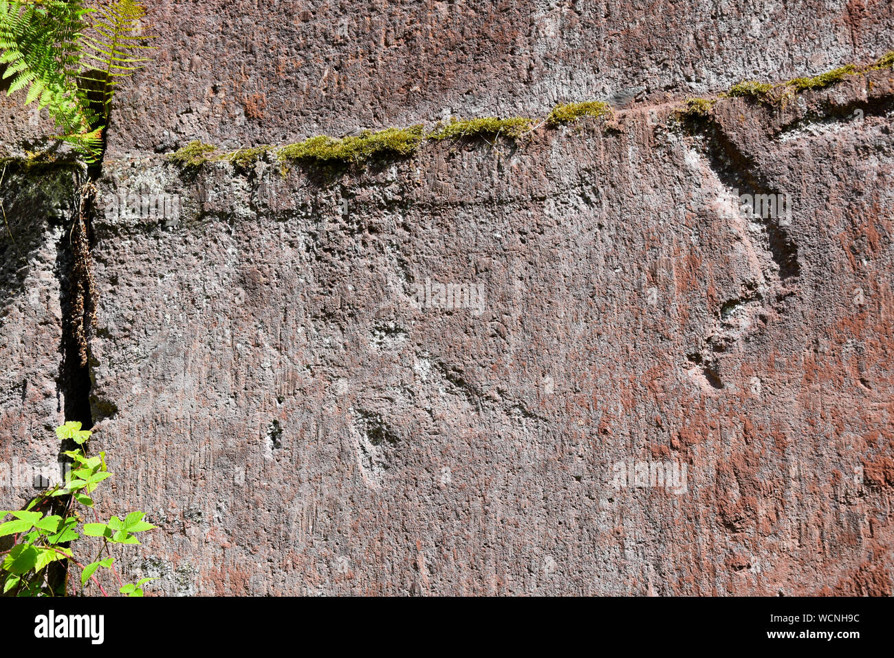 Rugged Red Volcanic Tuff Rock Wall at the Michelnau Stone Pit, a ...