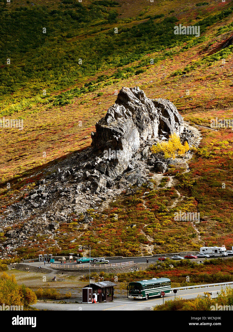 Denali park road hi-res stock photography and images - Alamy