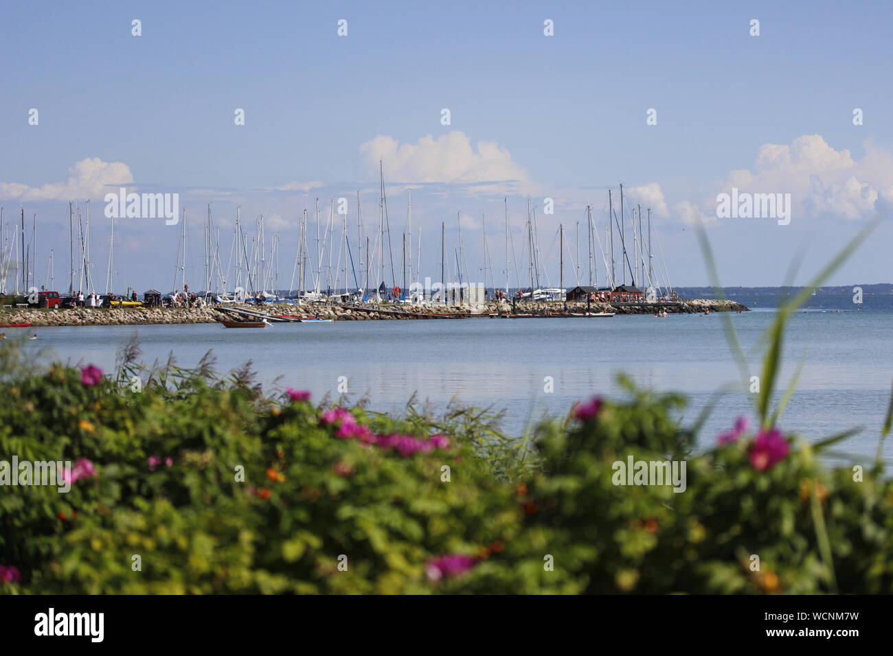 Rorvig hi-res stock photography and images - Alamy
