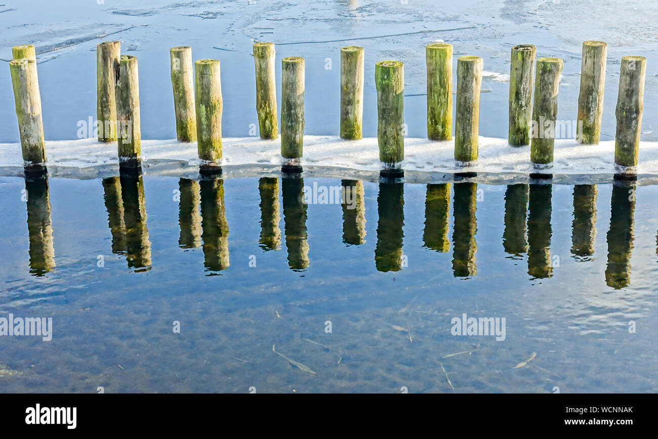 Puddle Lake High Resolution Stock Photography and Images - Alamy