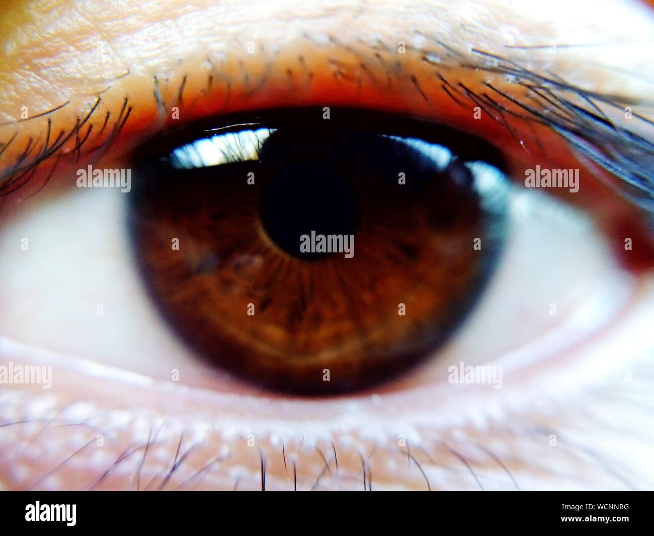Detail of eye hi-res stock photography and images - Alamy