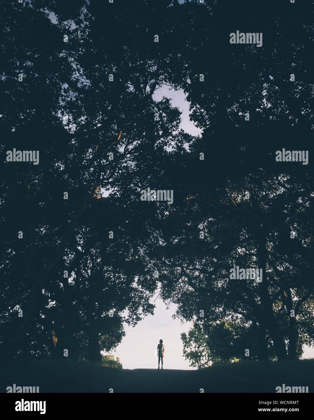 Space underneath hi-res stock photography and images - Alamy