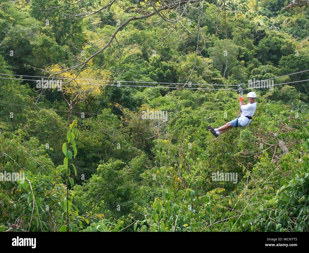 Person zip lining hi-res stock photography and images - Alamy
