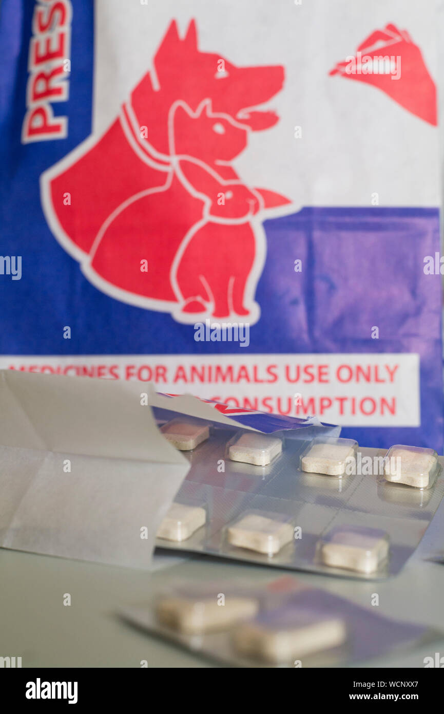 Animal medicine hi-res stock photography and images - Alamy