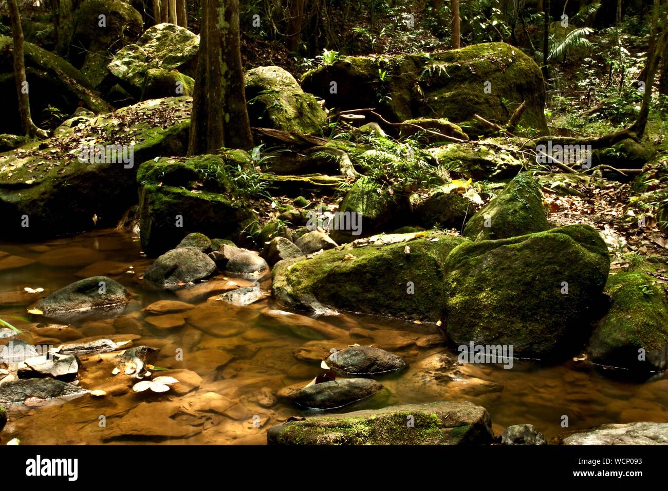 Moss covered stones hi-res stock photography and images - Alamy