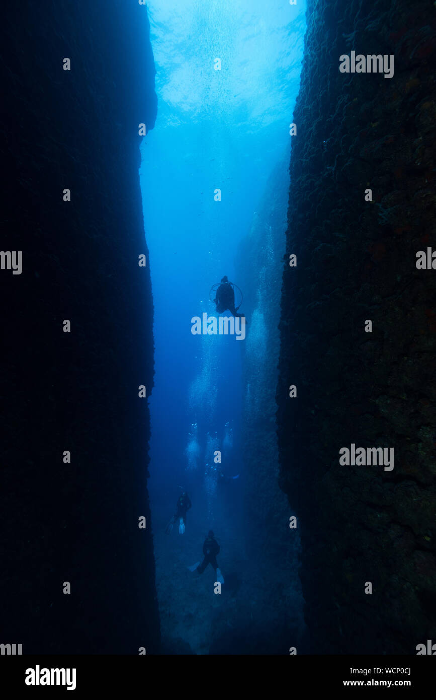 Diving underwater men aquatic hi-res stock photography and images - Alamy