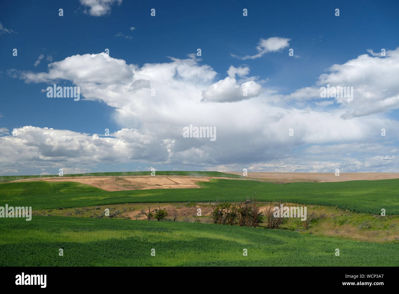 Farming agriculture oregon field hi-res stock photography and images ...