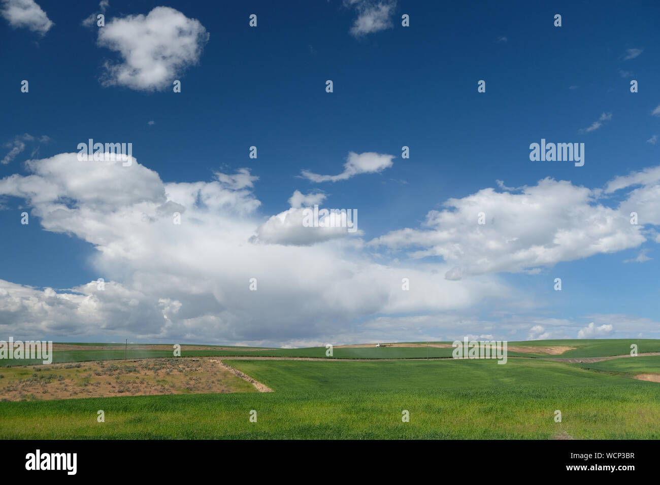 Farming agriculture oregon field hi-res stock photography and images ...