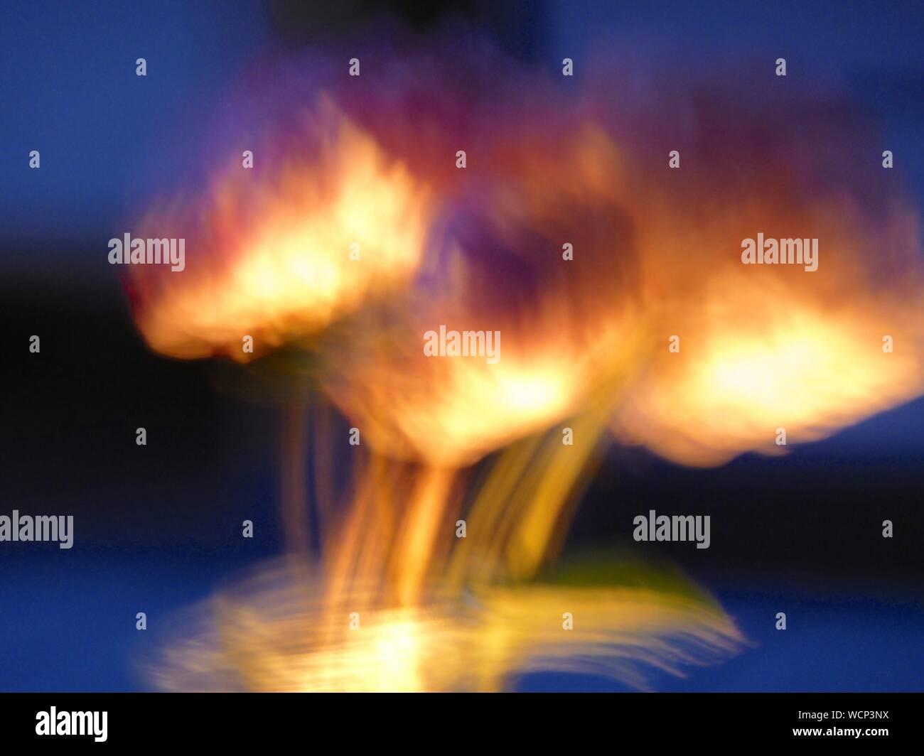 Fire flame hi-res stock photography and images - Alamy