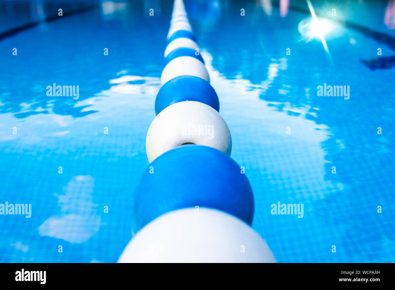Background of a sports swimming pool, with no one Stock Photo - Alamy