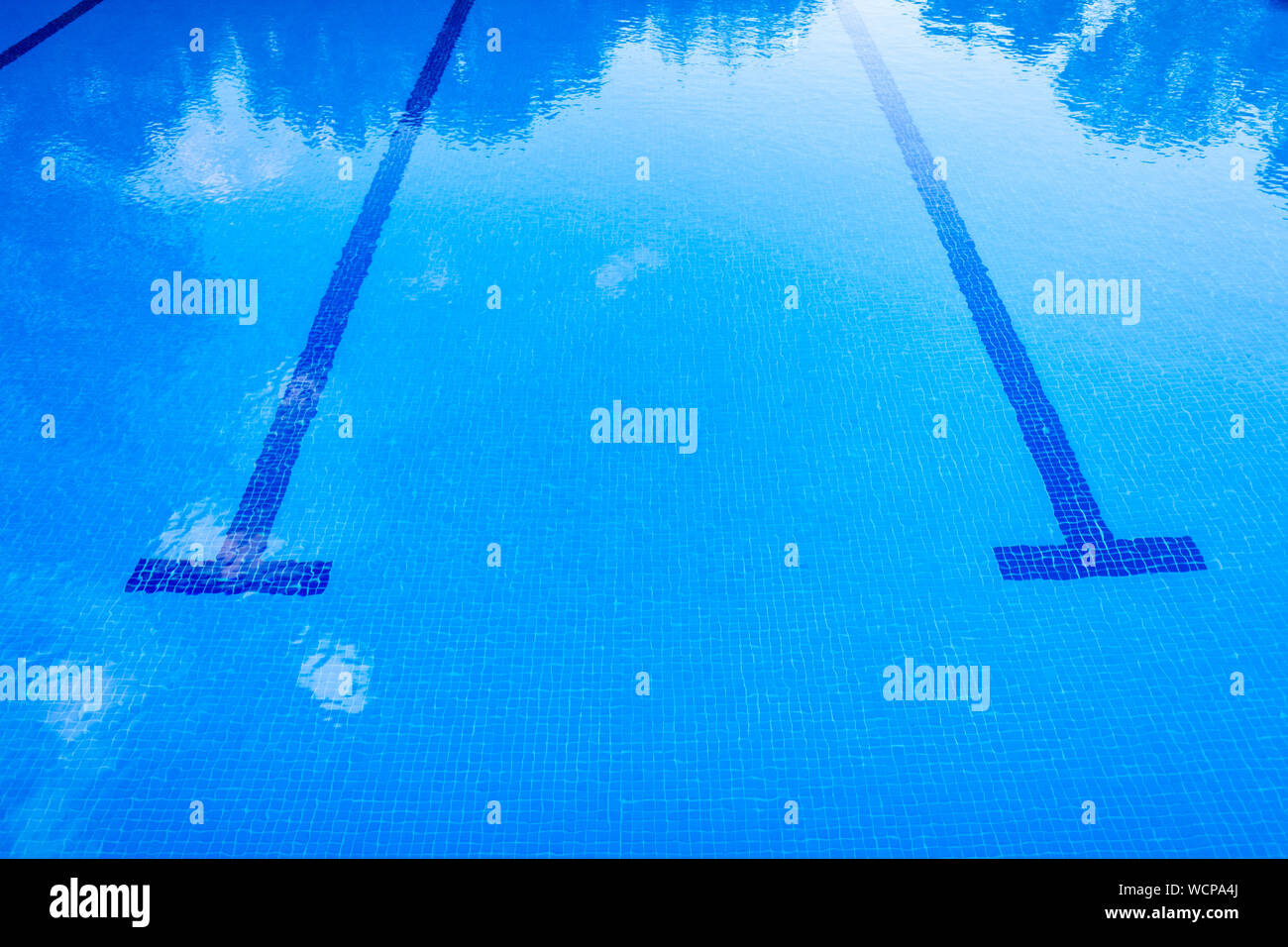 Background of a sports swimming pool, with no one Stock Photo - Alamy