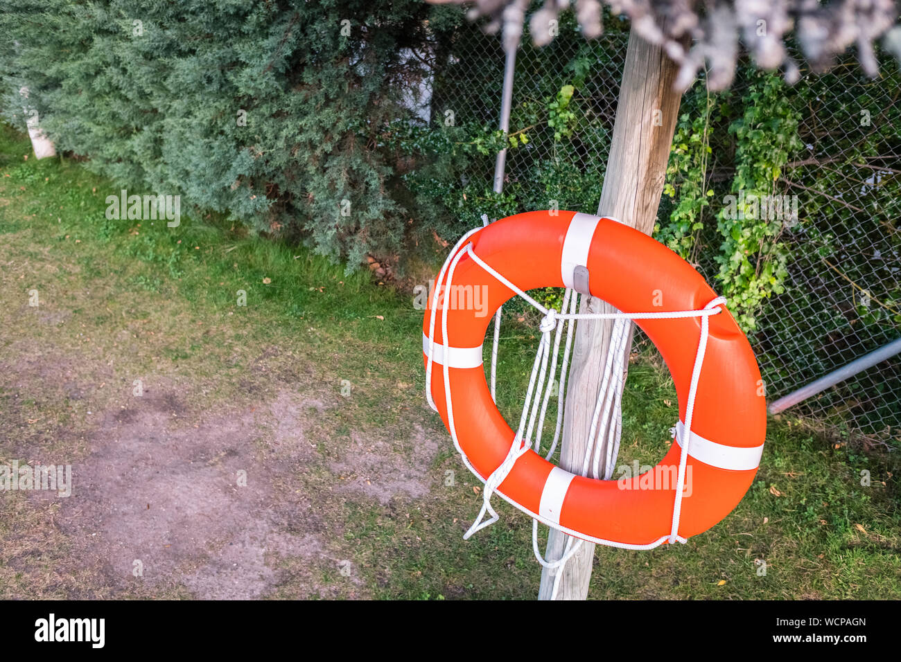 Red lifeguard in swimming pool hi-res stock photography and images - Alamy