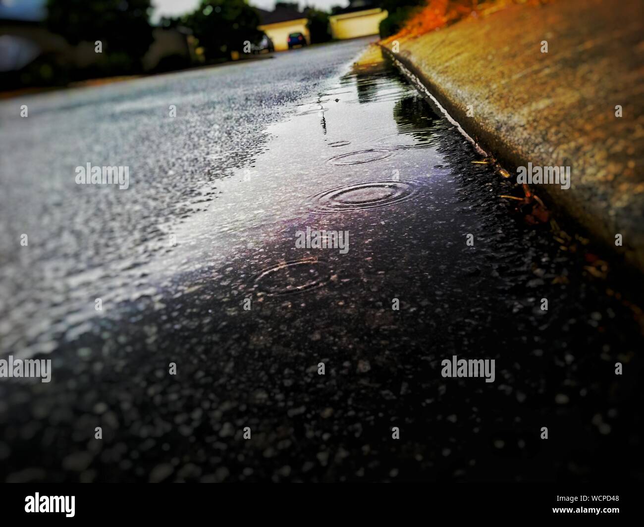 Wet ditch hi-res stock photography and images - Alamy