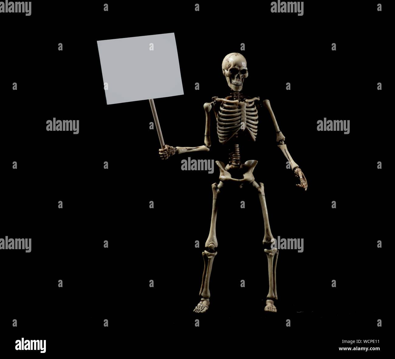 Protestor with banner hi-res stock photography and images - Alamy