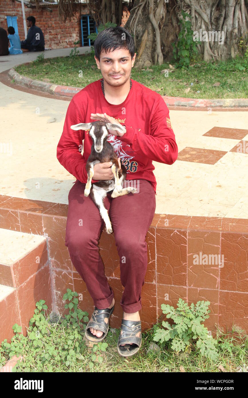 Indian brown goat hi-res stock photography and images - Alamy
