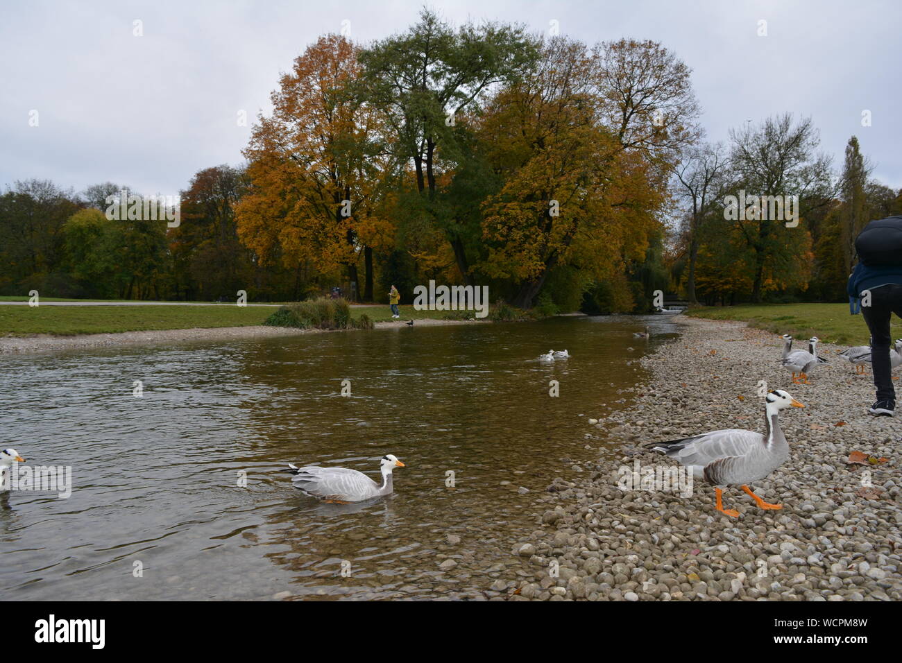 English Garden, Munich, Germany (München englischer garten, Deutschland ...