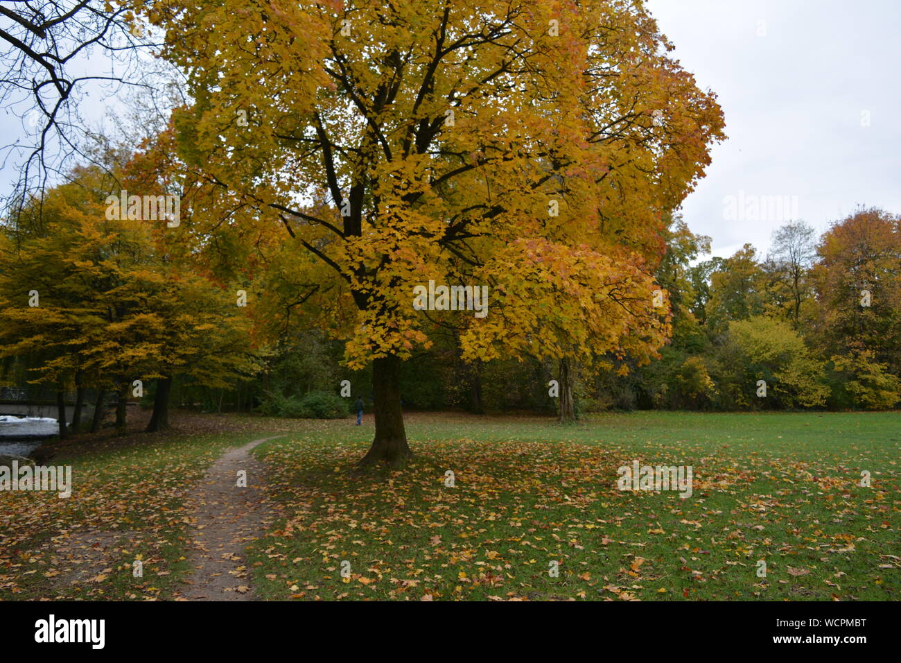English garden munich germany river hi-res stock photography and images ...