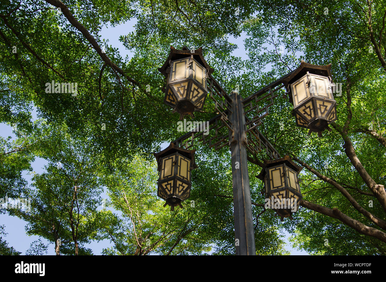 Street light trees branch hi-res stock photography and images - Alamy