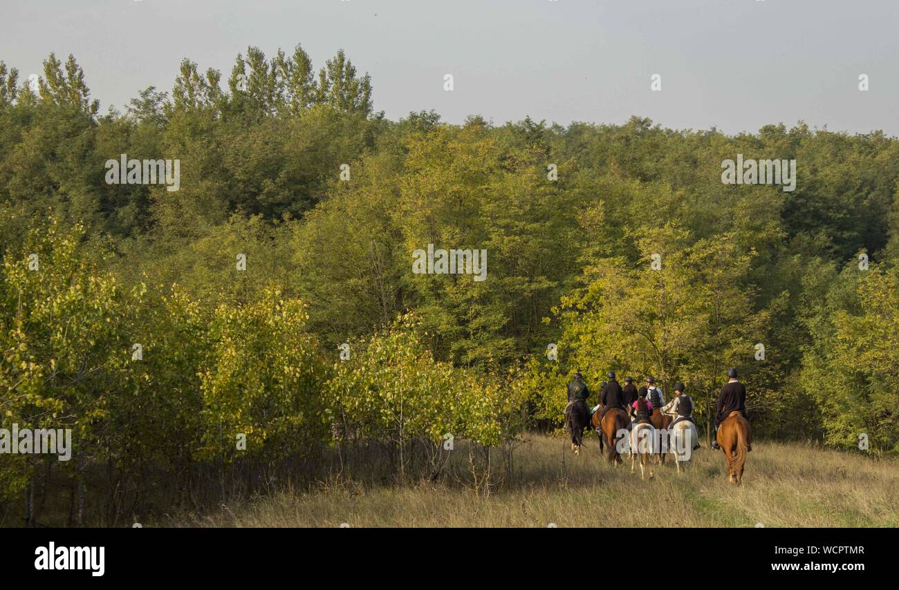 Riding field hi-res stock photography and images - Alamy