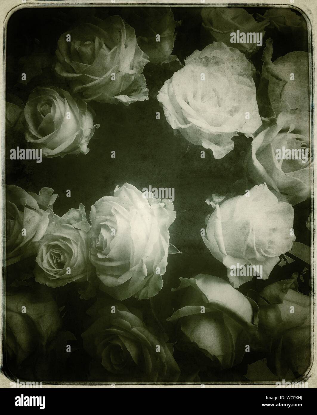 Sepia Image High Resolution Stock Photography and Images - Alamy