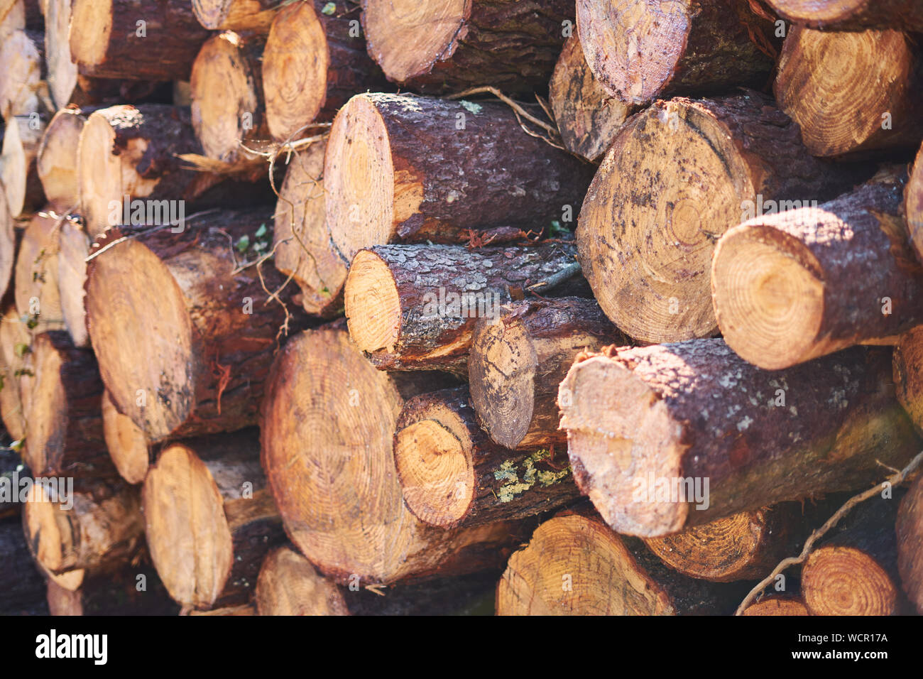 Filling trunk hi-res stock photography and images - Alamy