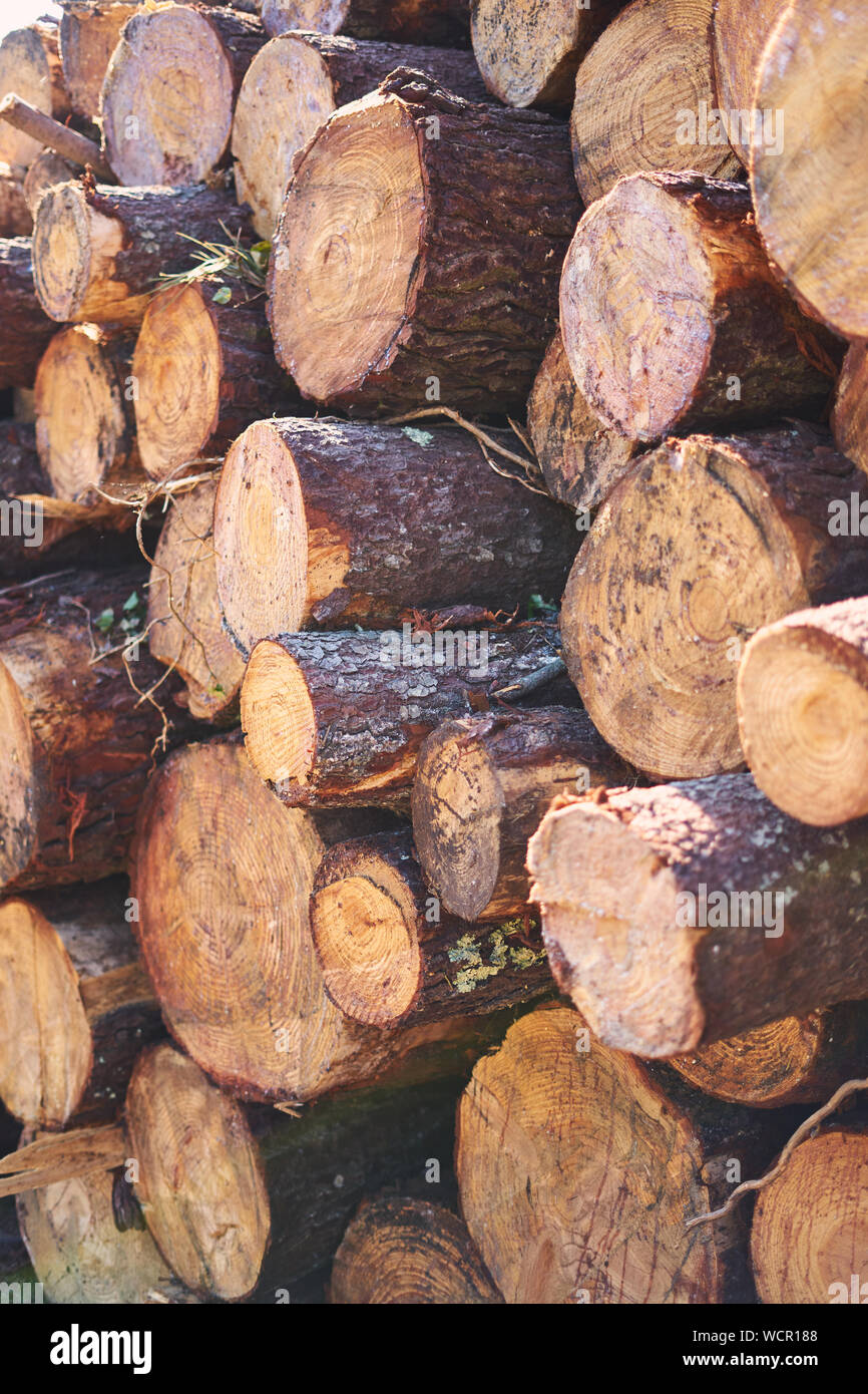 Filling trunk hi-res stock photography and images - Alamy