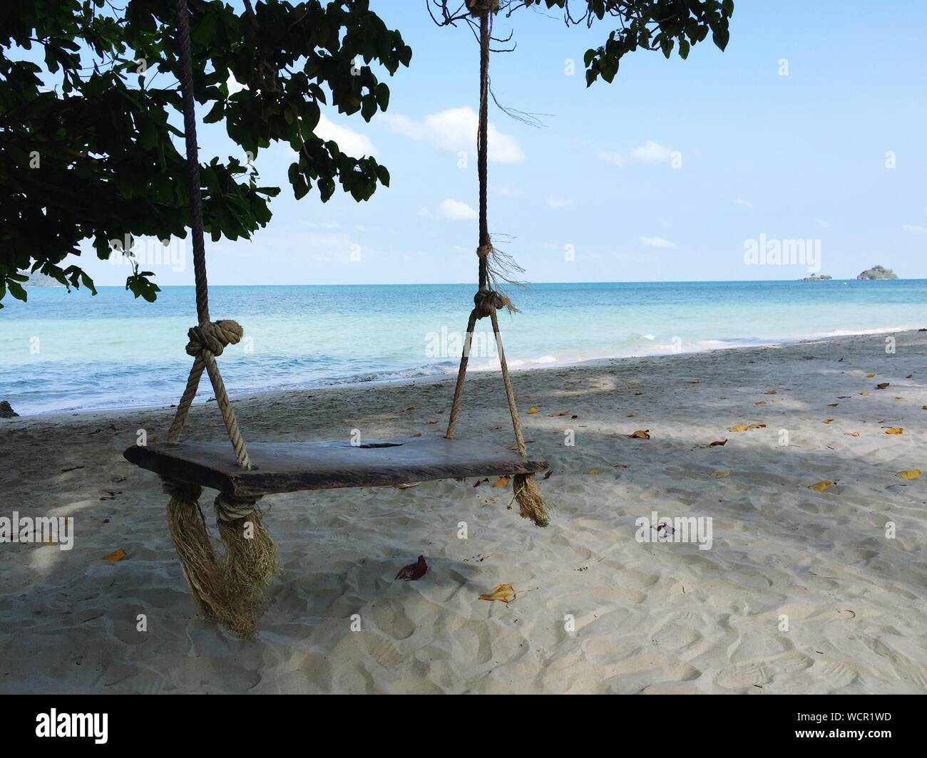 Tree Over Water Rope Swing High Resolution Stock Photography and Images ...
