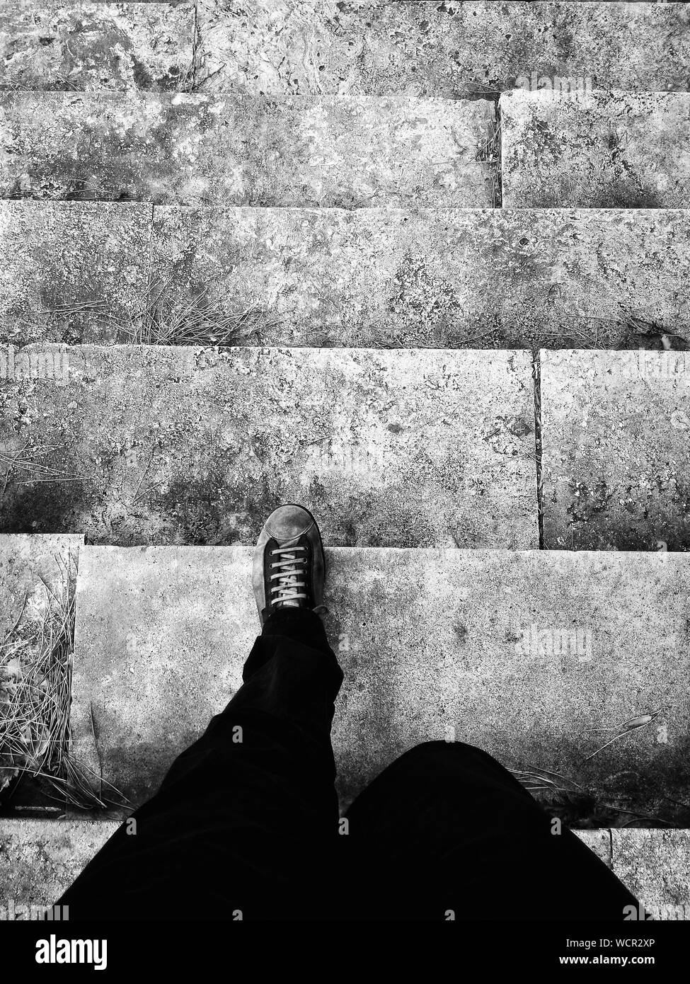 Low down low perspective High Resolution Stock Photography and Images ...