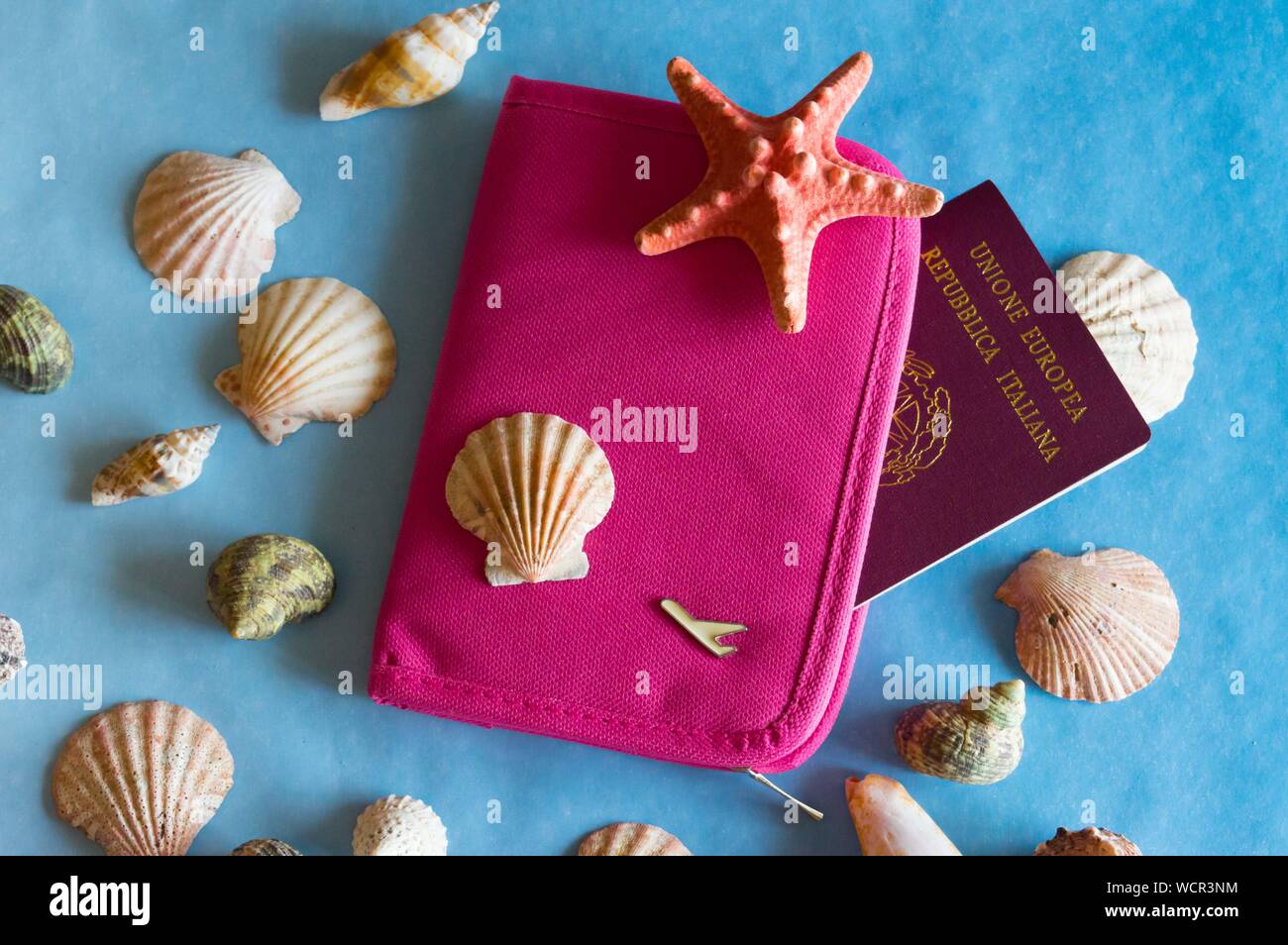 Bag of shells hi-res stock photography and images - Alamy