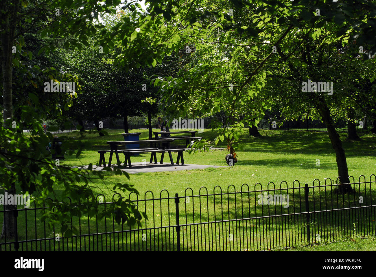Peckham Rye Park in Spring Time Stock Photo - Alamy