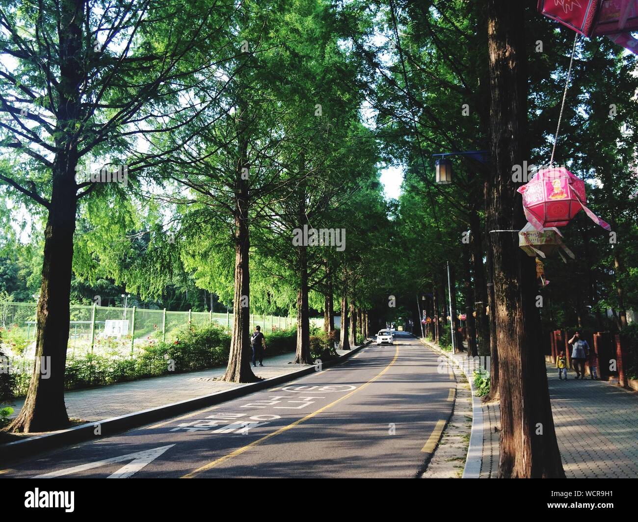 Changwon korea hi-res stock photography and images - Alamy