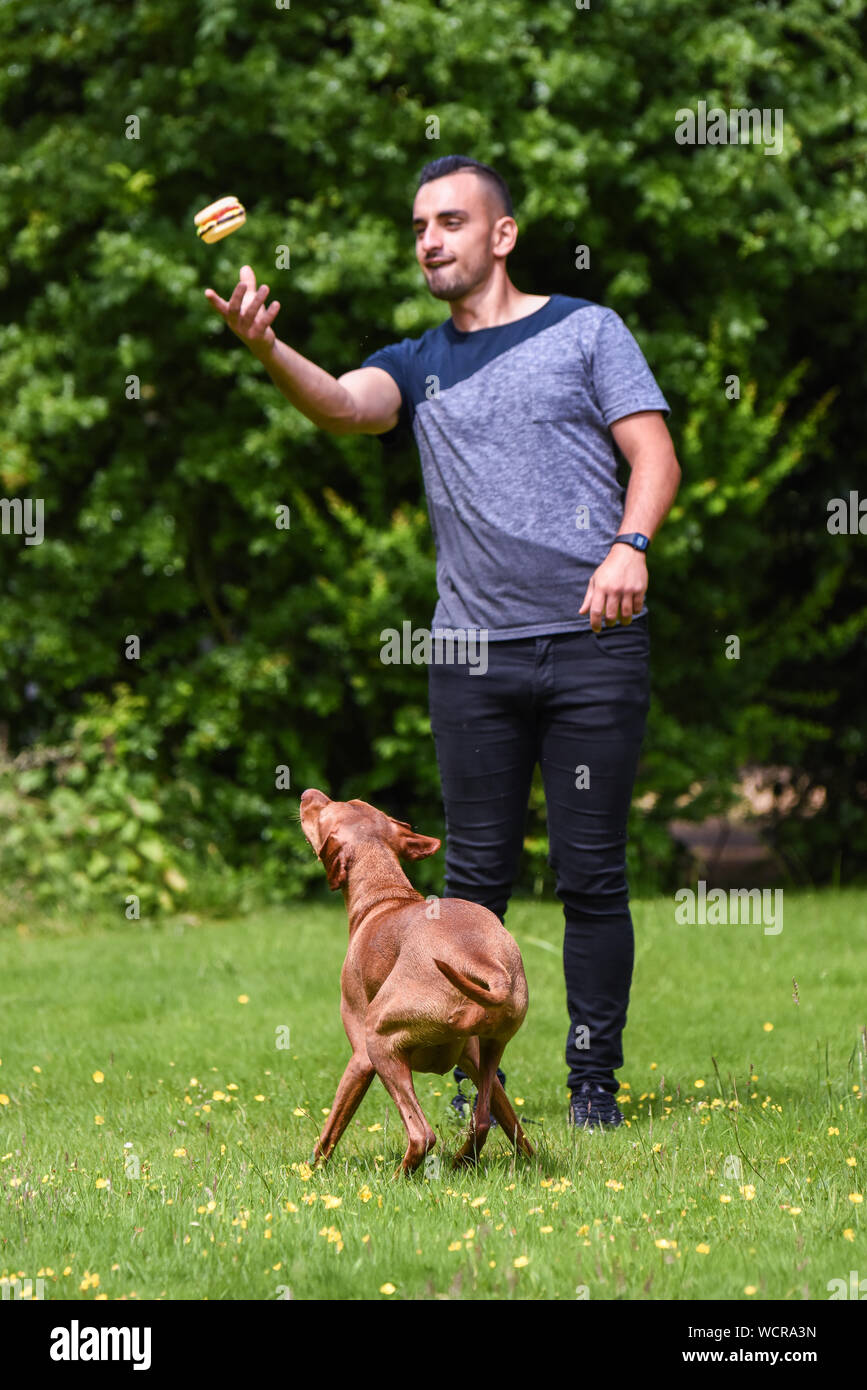 His owner playing with hi-res stock photography and images - Alamy
