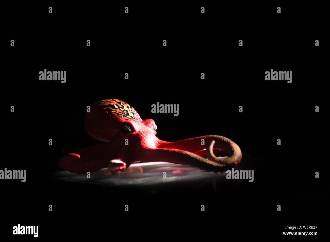 Red octopus hi-res stock photography and images - Alamy