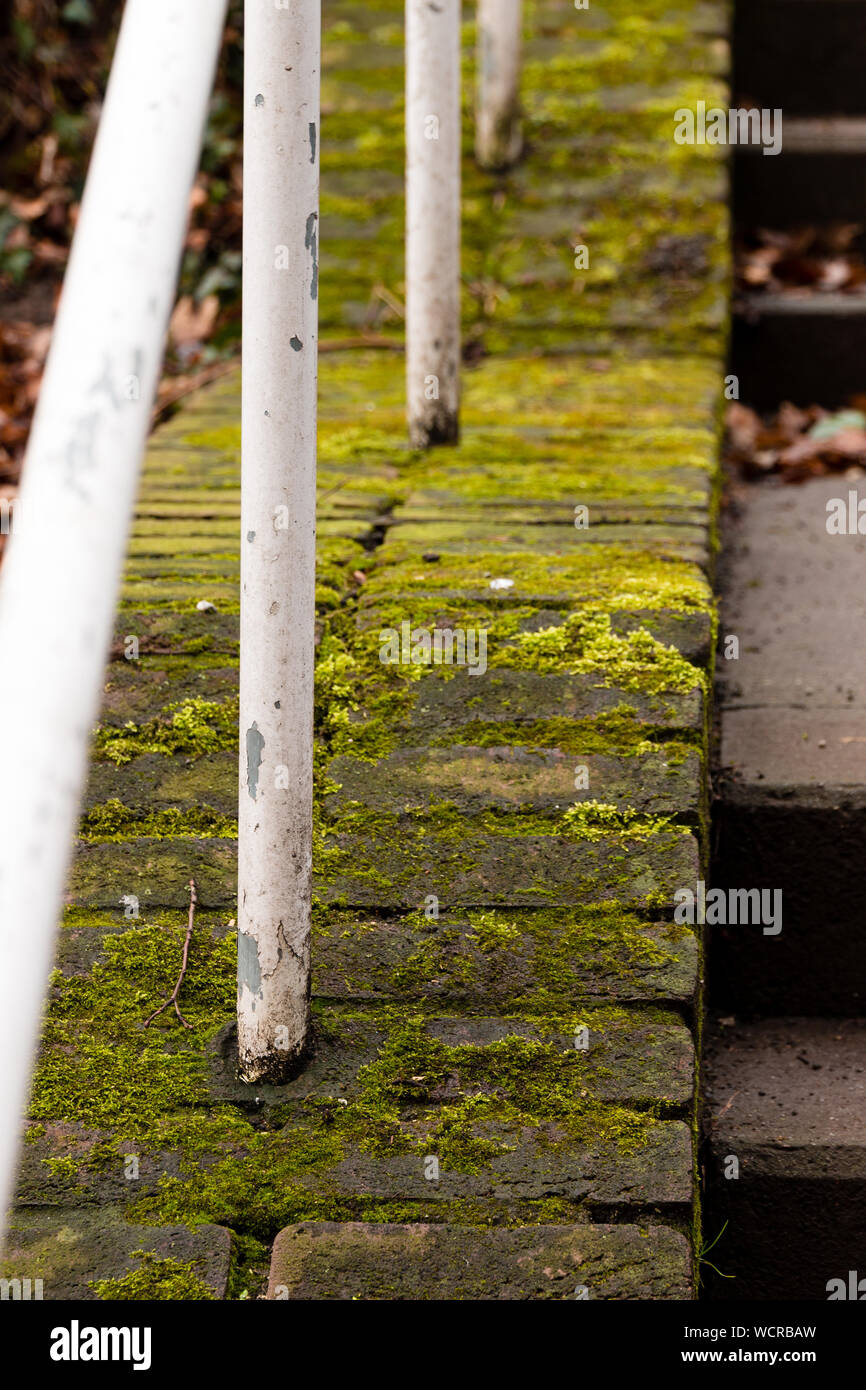 Moss steps hi-res stock photography and images - Alamy